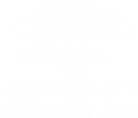Home page - Ivory Tree Game Lodge